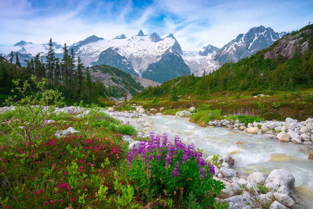 Pacific Northwest Mountains Gallery — Lucas Cometto | Wilderness ...