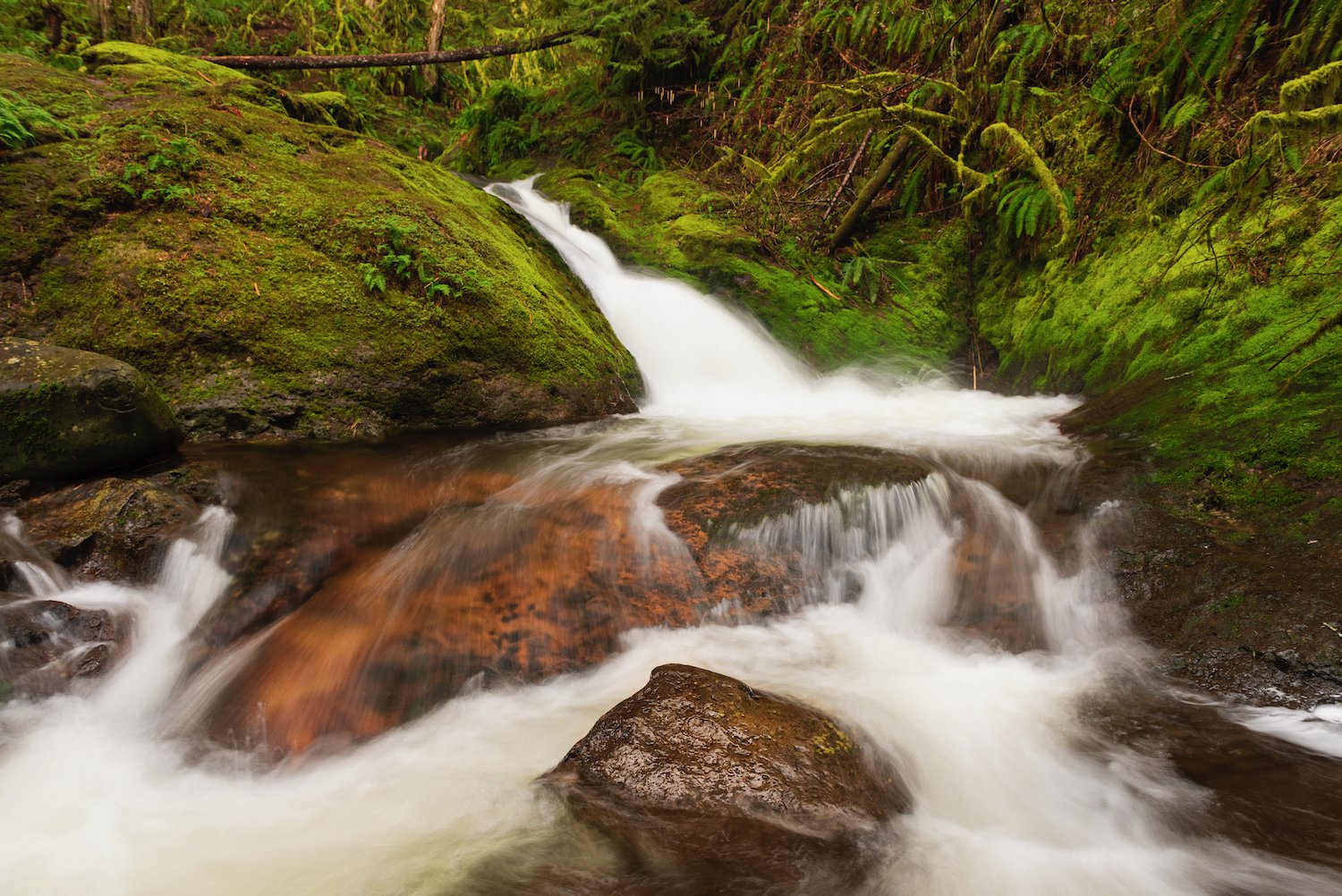 Washington State Waterfalls Guide — Lucas Cometto | Wilderness ...
