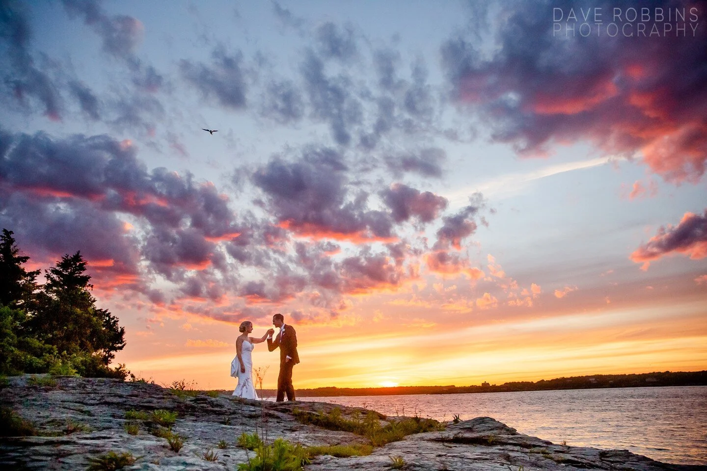 Dave Robbins Photography: Wedding Photographer in New York City