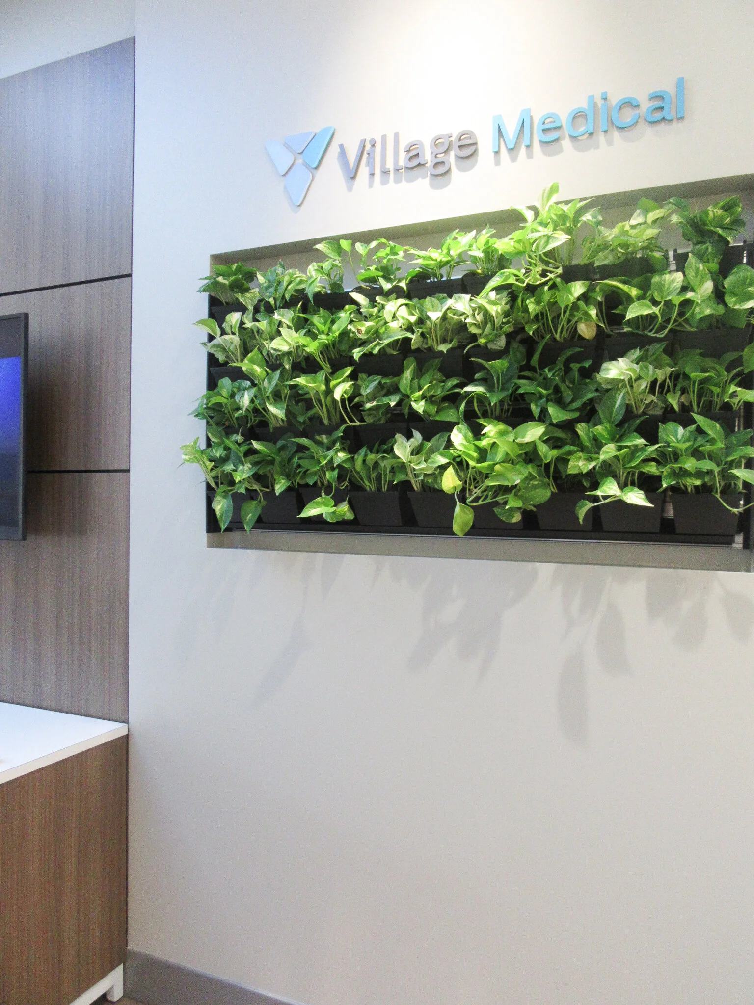 Wilkus Architects-Village Medical