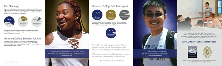 Program Overview — Delaware College Scholars Program