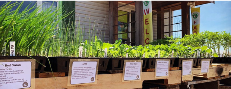 Events | Brookford Farm