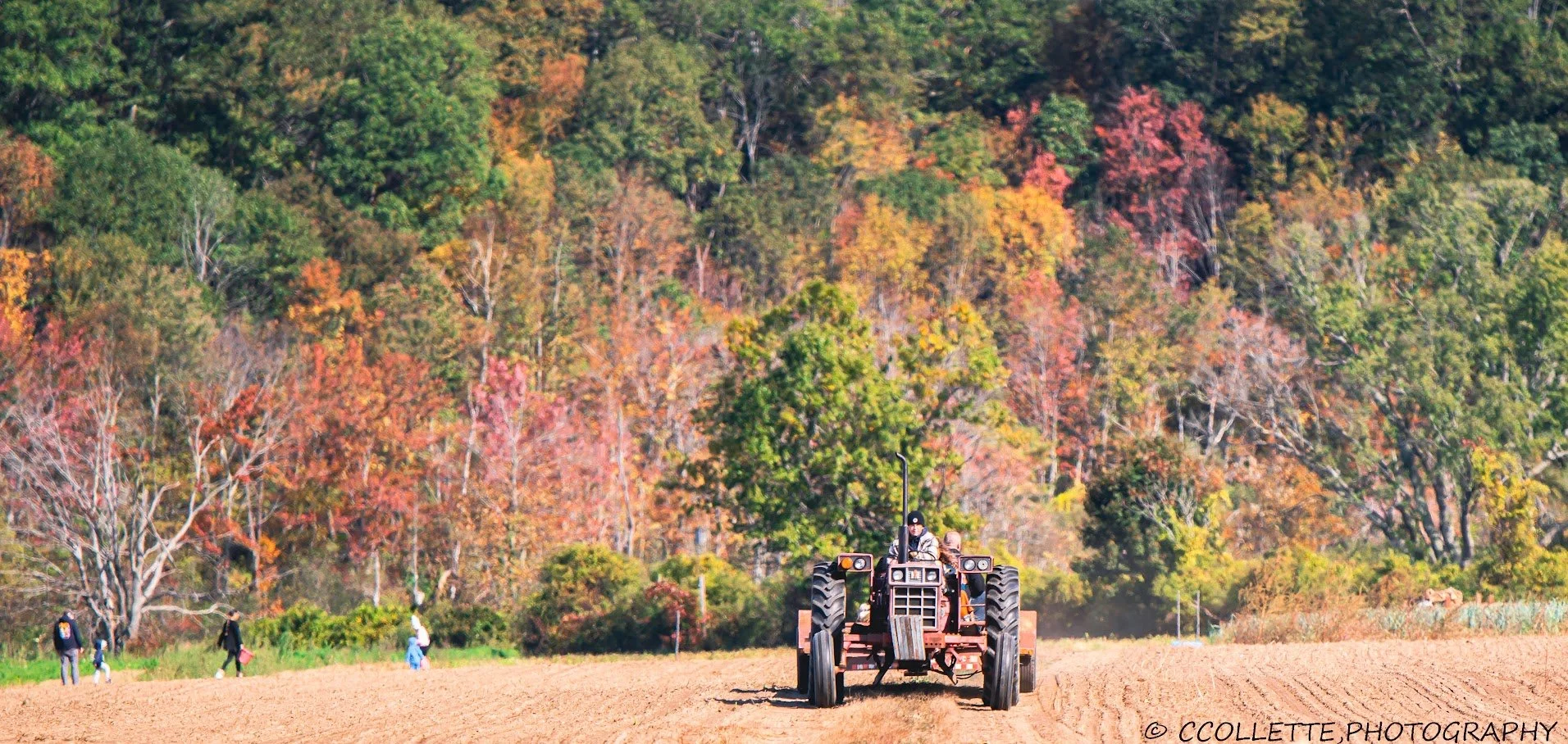 Farm Events | Brookford Farm