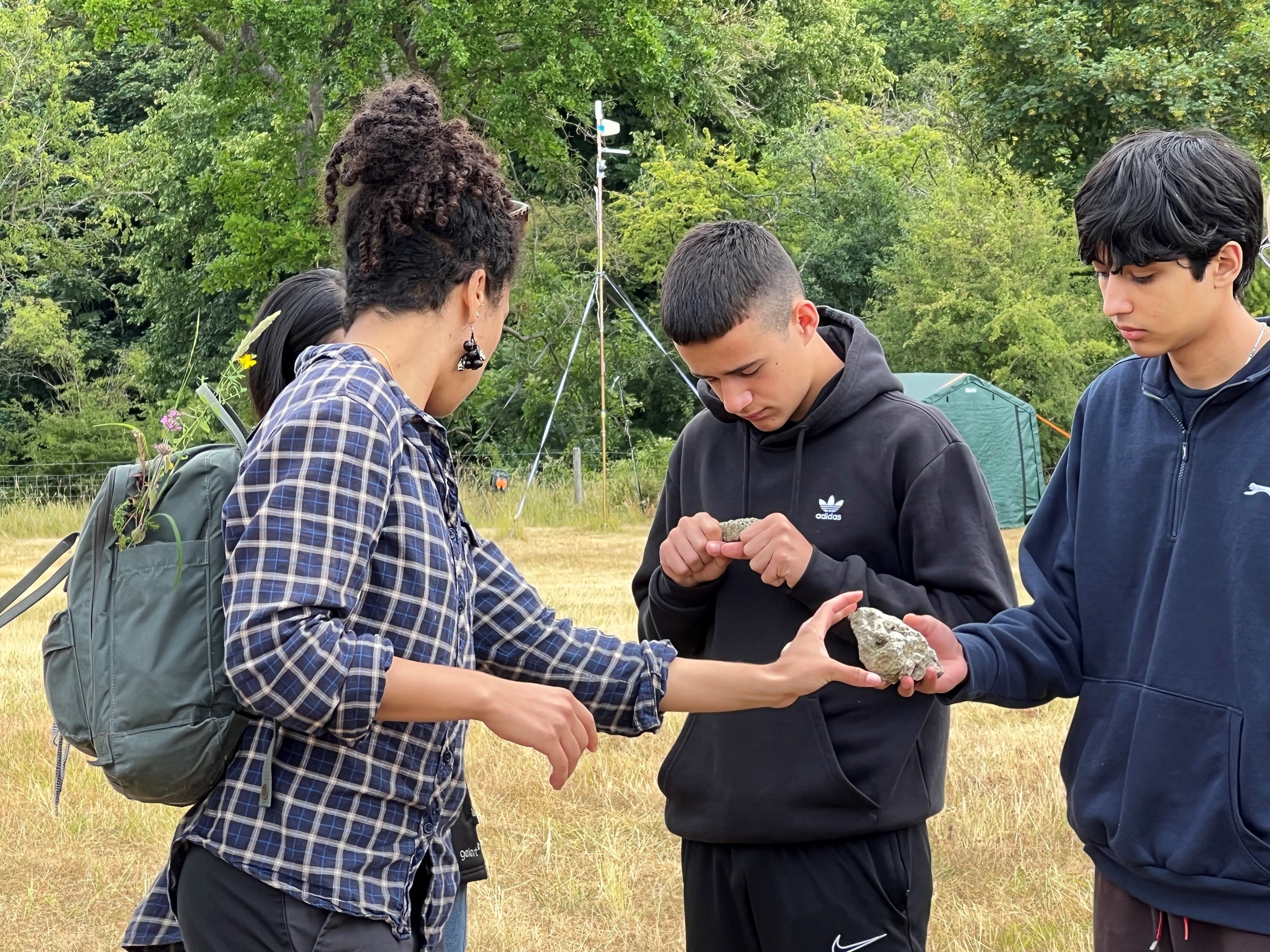 ECI Summer School 2022 at Wytham Woods — Oxford Earth Academy
