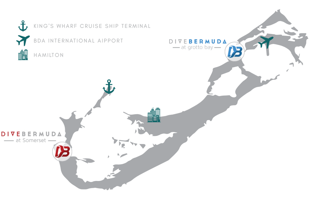 new find us — Dive Bermuda at Grotto Bay