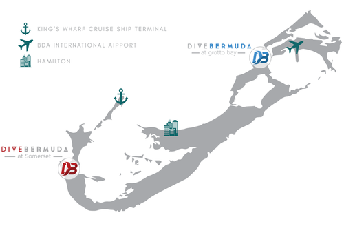 Dive Bermuda at Grotto Bay | Bermuda's Premier Dive Center