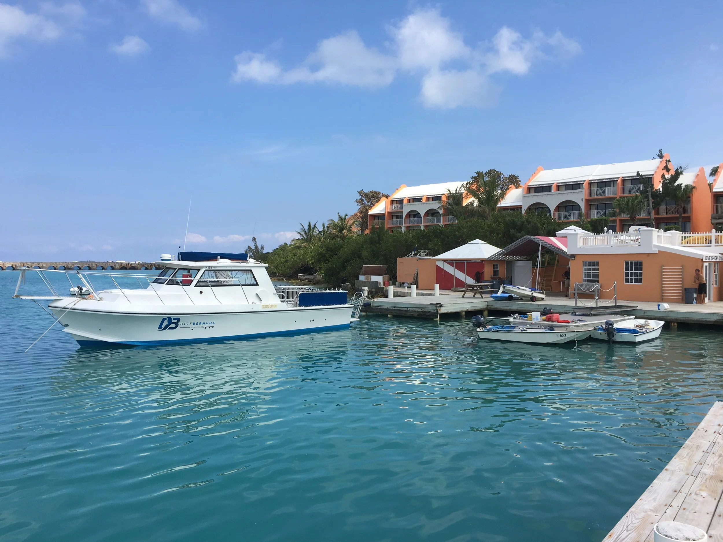 Dive Bermuda at Grotto Bay | Bermuda's Premier Dive Center