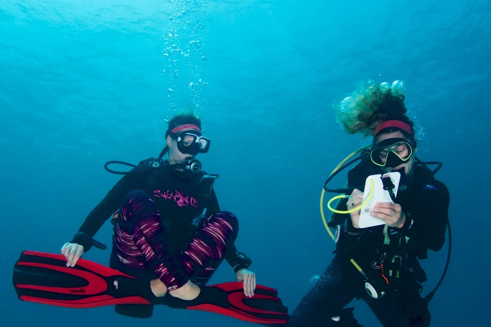 Dive Bermuda at Grotto Bay | Bermuda's Premier Dive Center