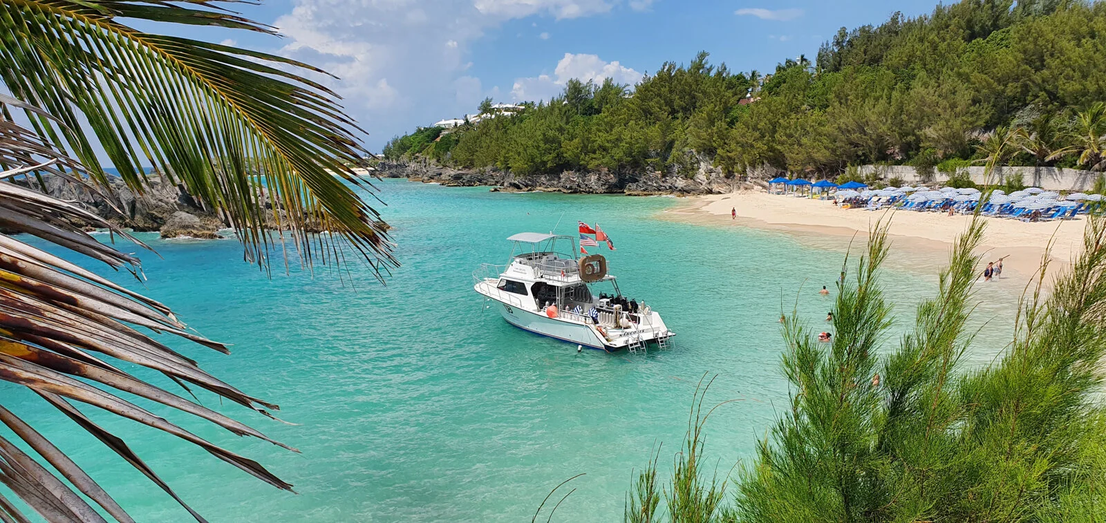Dive Bermuda at Grotto Bay | Bermuda's Premier Dive Center