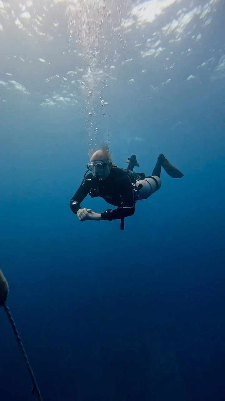 Dive Bermuda at Grotto Bay | Bermuda's Premier Dive Center