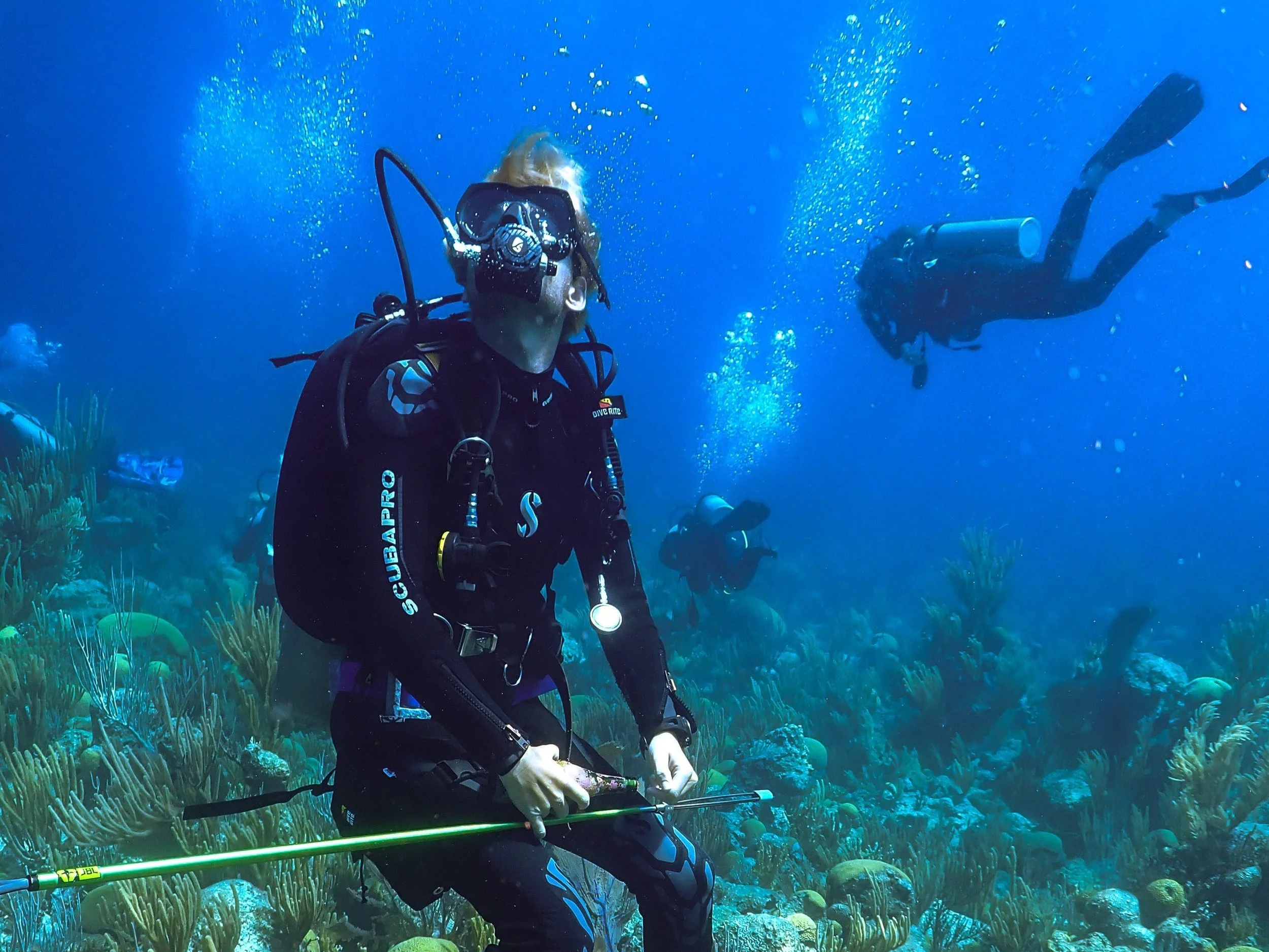 The Dive Center | Grotto Bay Beach Resort & Spa — Dive Bermuda at ...