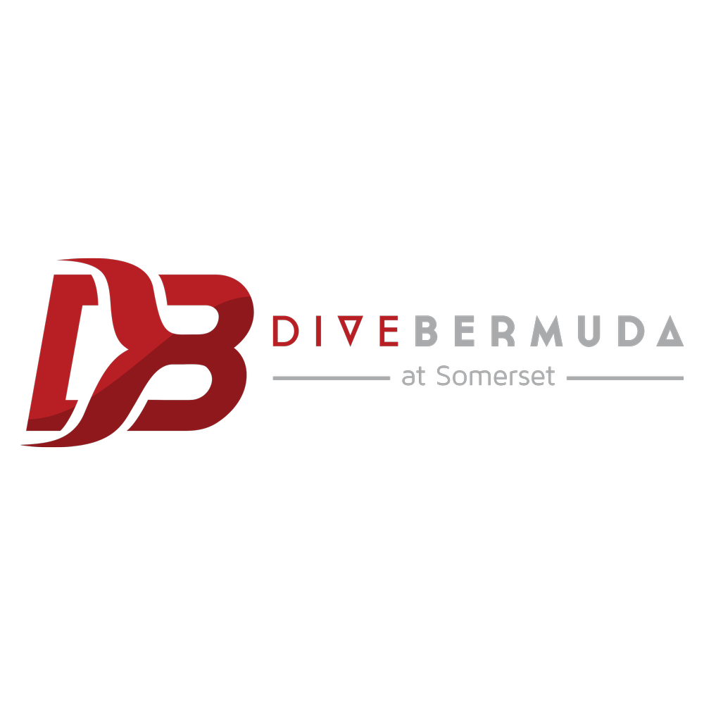 Dive Bermuda at Grotto Bay | Bermuda's Premier Dive Center