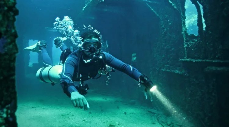 Dive Bermuda at Grotto Bay | Bermuda's Premier Dive Center