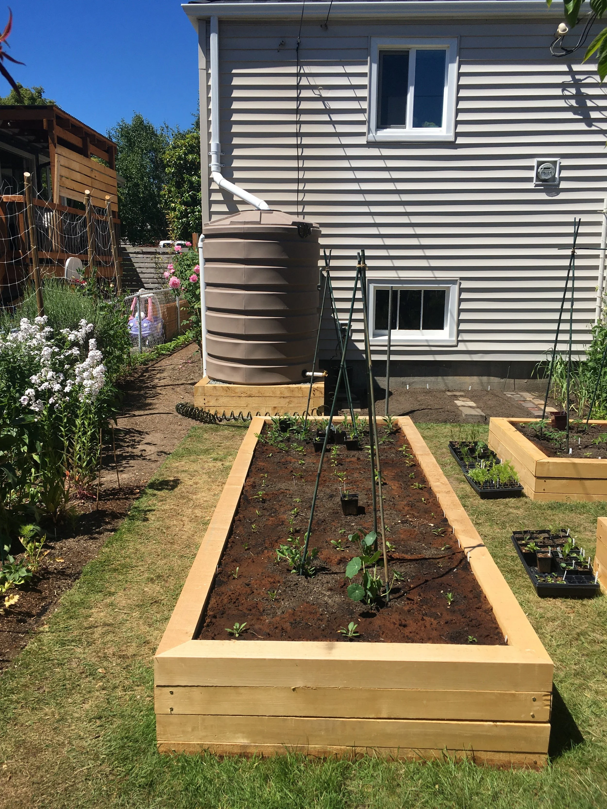 Regeneration Landscaping