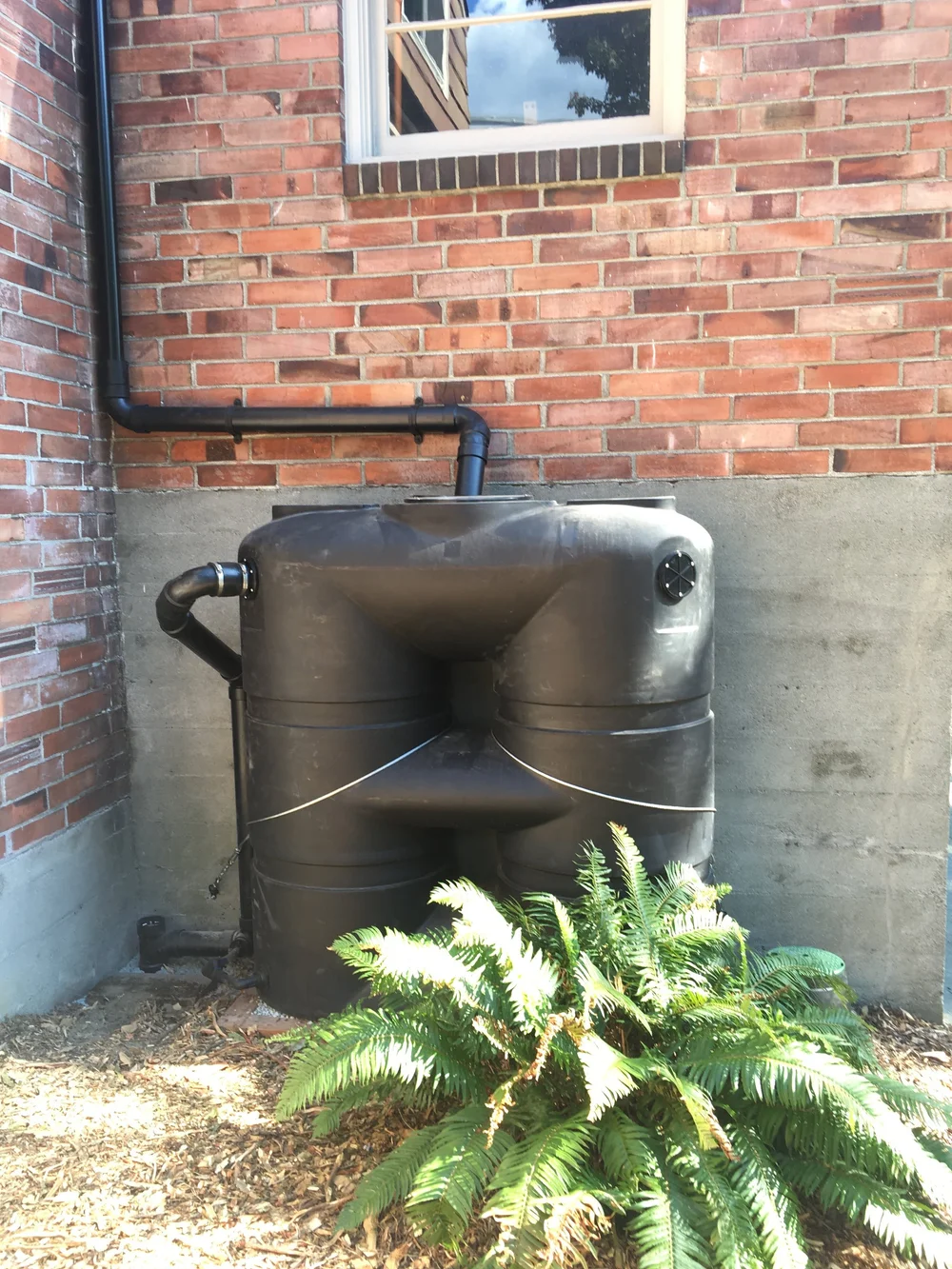 Benefits of Cisterns: Harnessing Rainwater for Sustainability ...