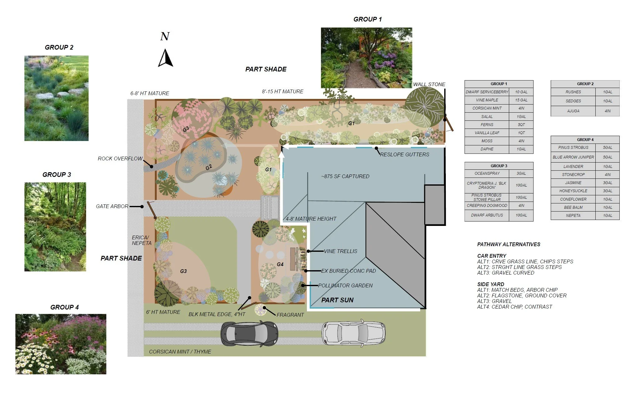 Regeneration Landscaping