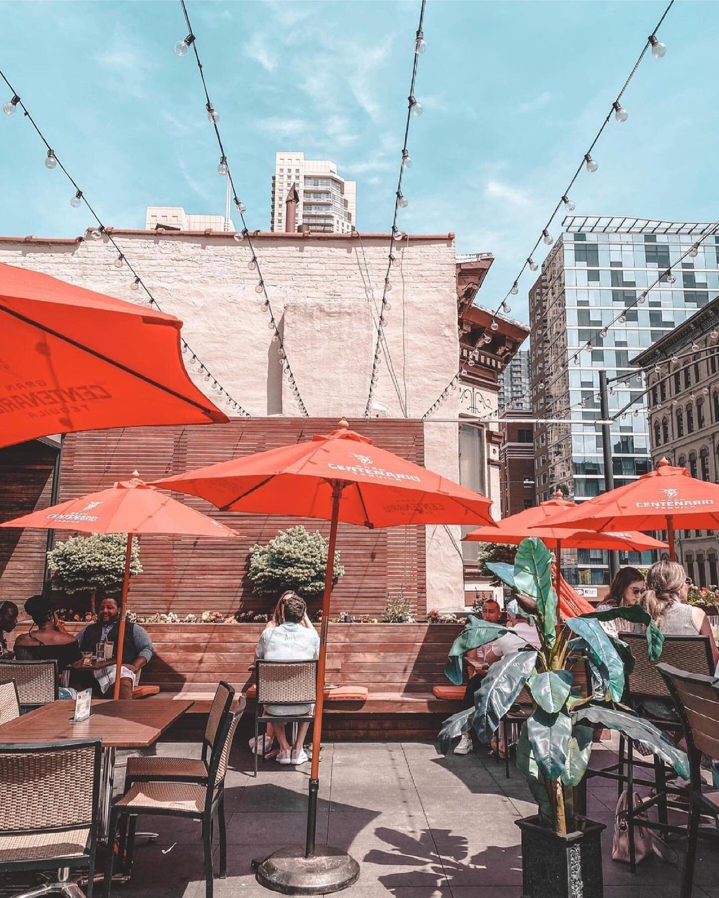 GALLERY — Tanta Chicago