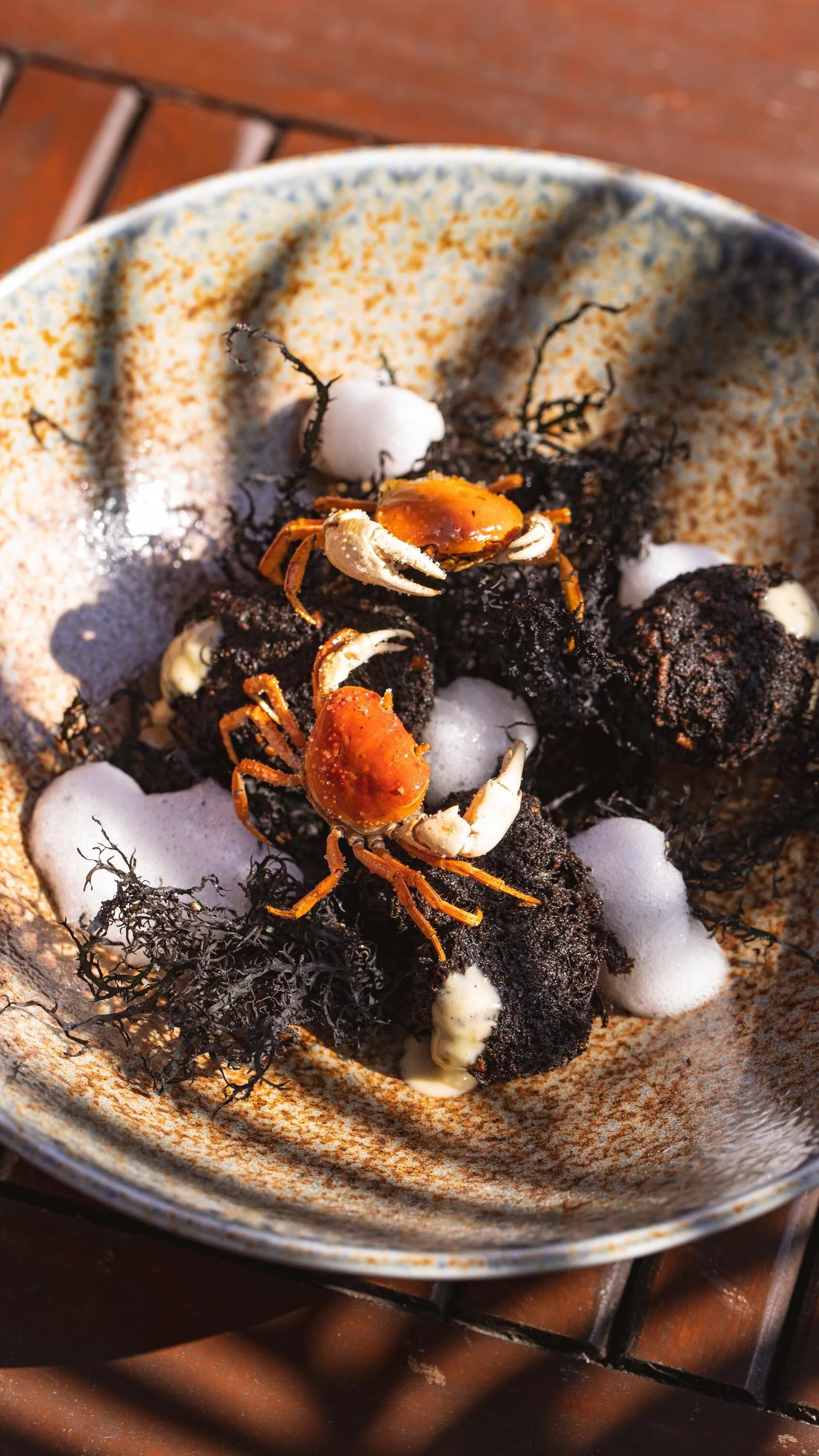 GALLERY — Tanta Chicago