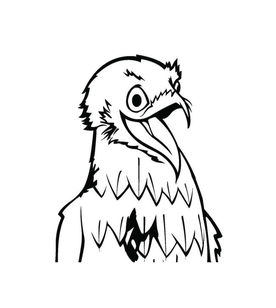 Exec Portfolios — CMSA