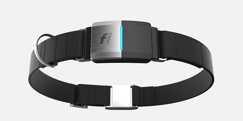 The Fi Smart Collar is a Wearable for Dogs, Industrial Design by Bould ...