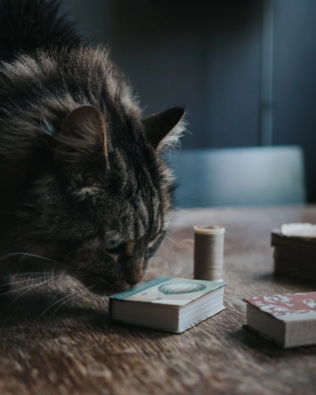 The appeal of miniature books — Inky Square - calligraphy & bookbinding