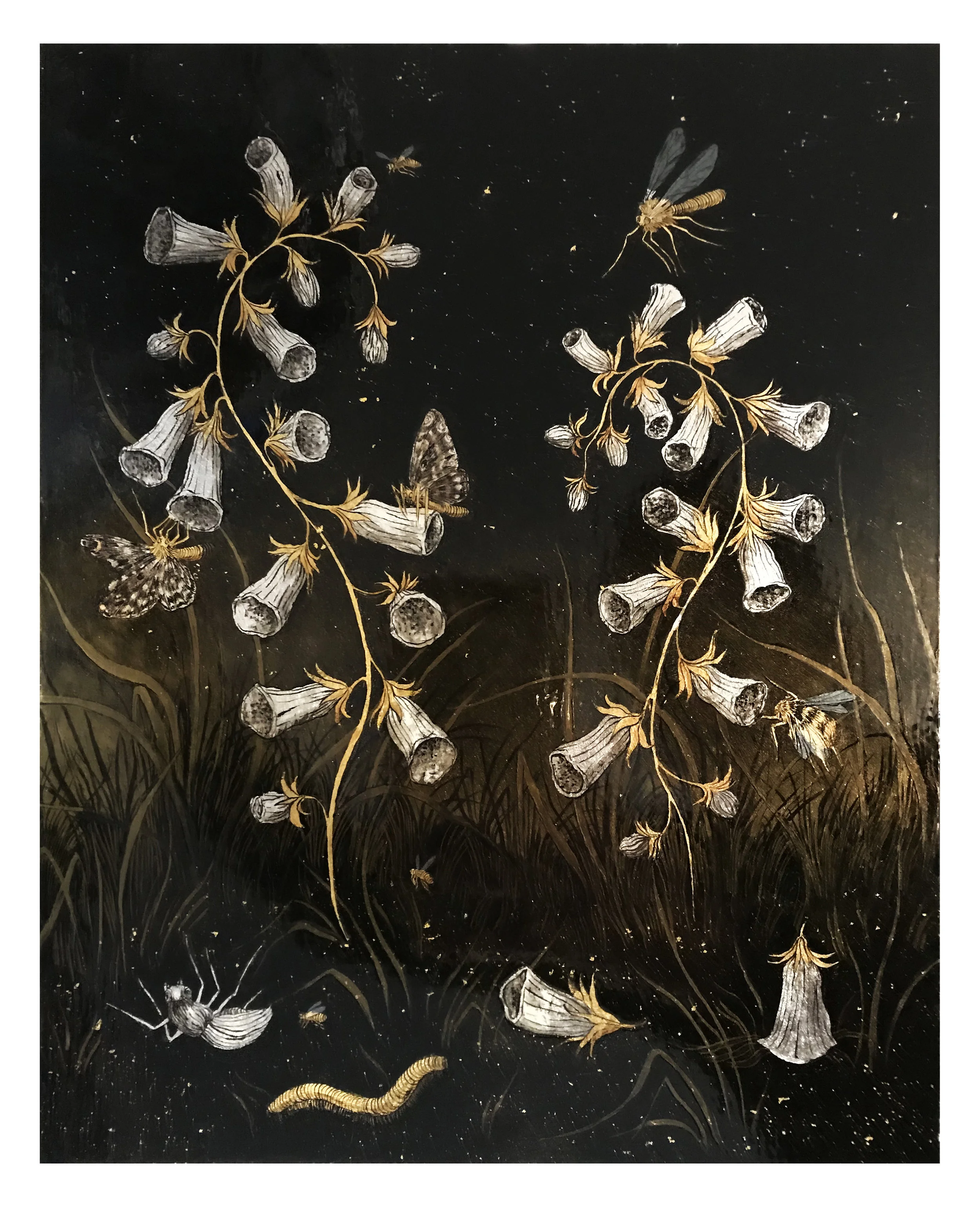 2018 — Tuesday Riddell