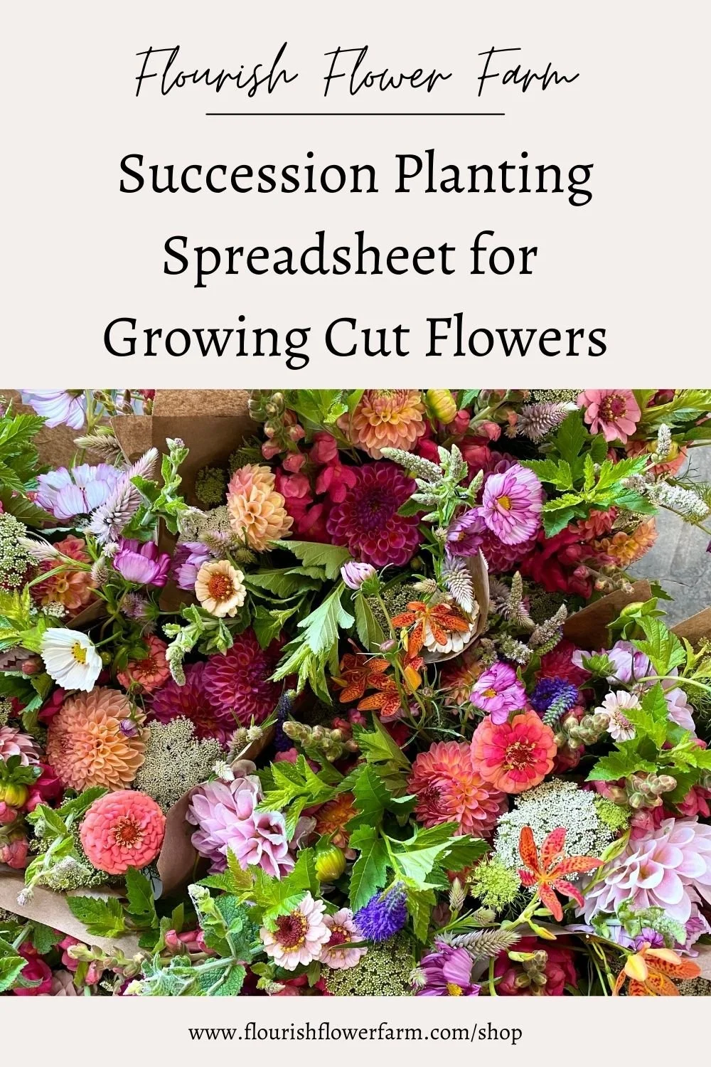 Flower Succession Planting Spreadsheet — Flourish Flower Farm