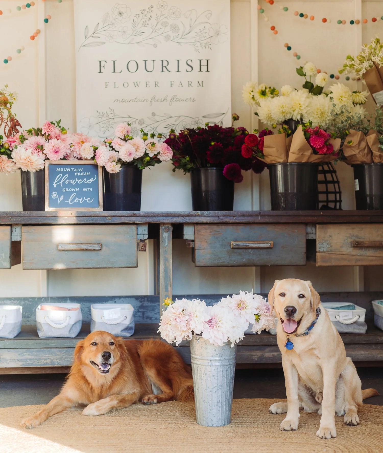 How to Start a Successful Farm Stand — Flourish Flower Farm