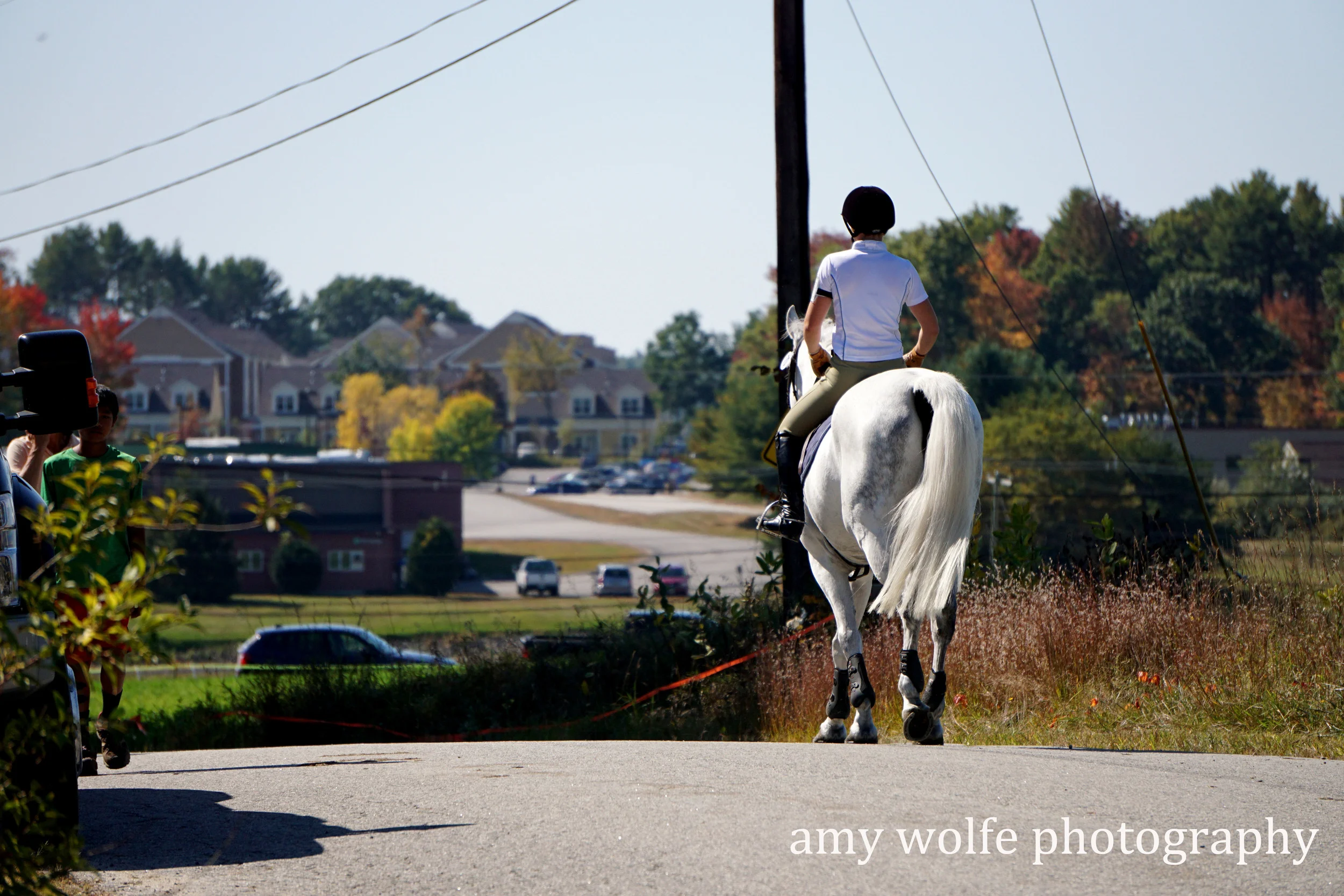 About — Great Bay Equine