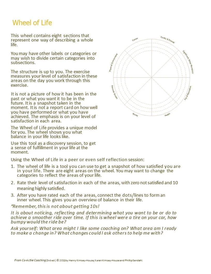 Wheel of Life exercise — dorianbaroni.com