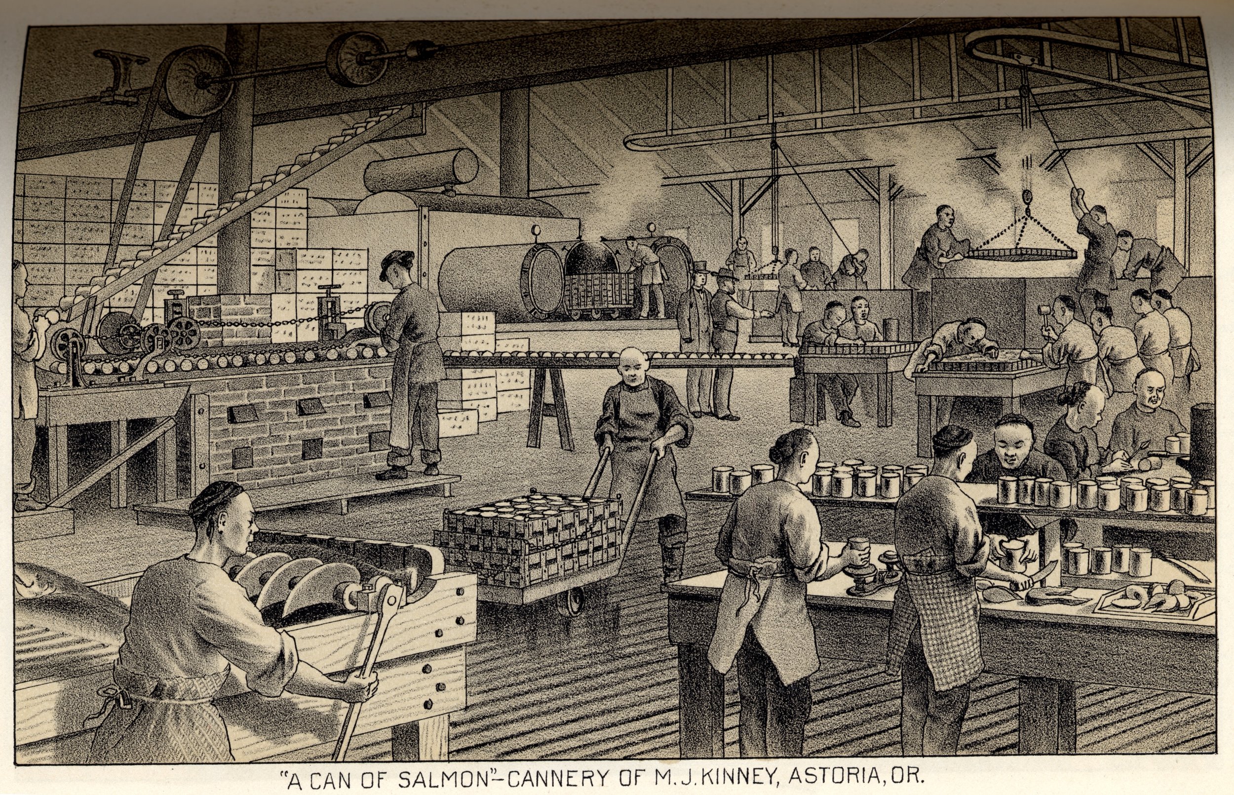 Chinese Labor Contractors and the Early Salmon Canning Industry ...