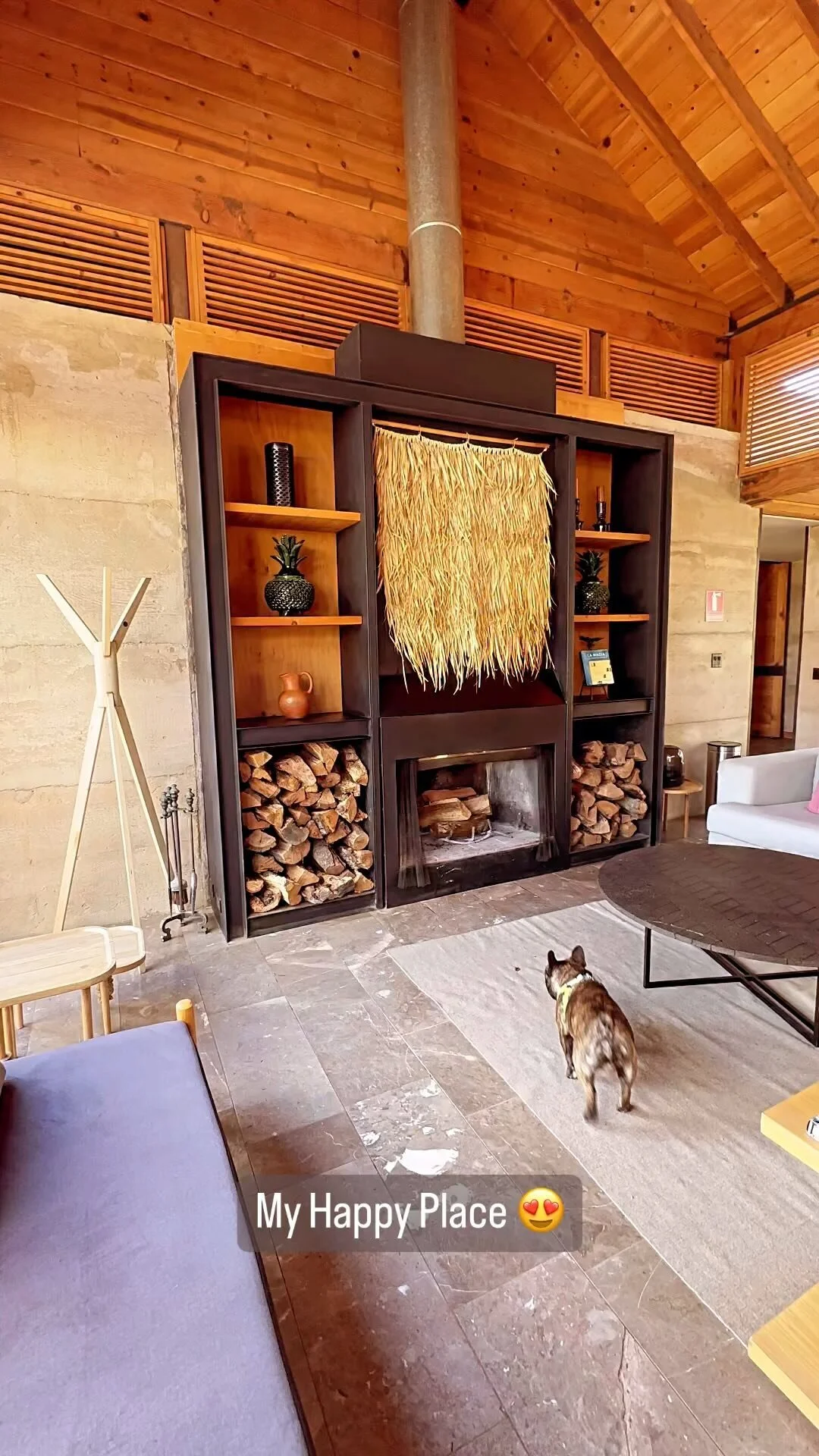 Toxic Seed Oils: What they Are and Why You should Avoid Them — The ...