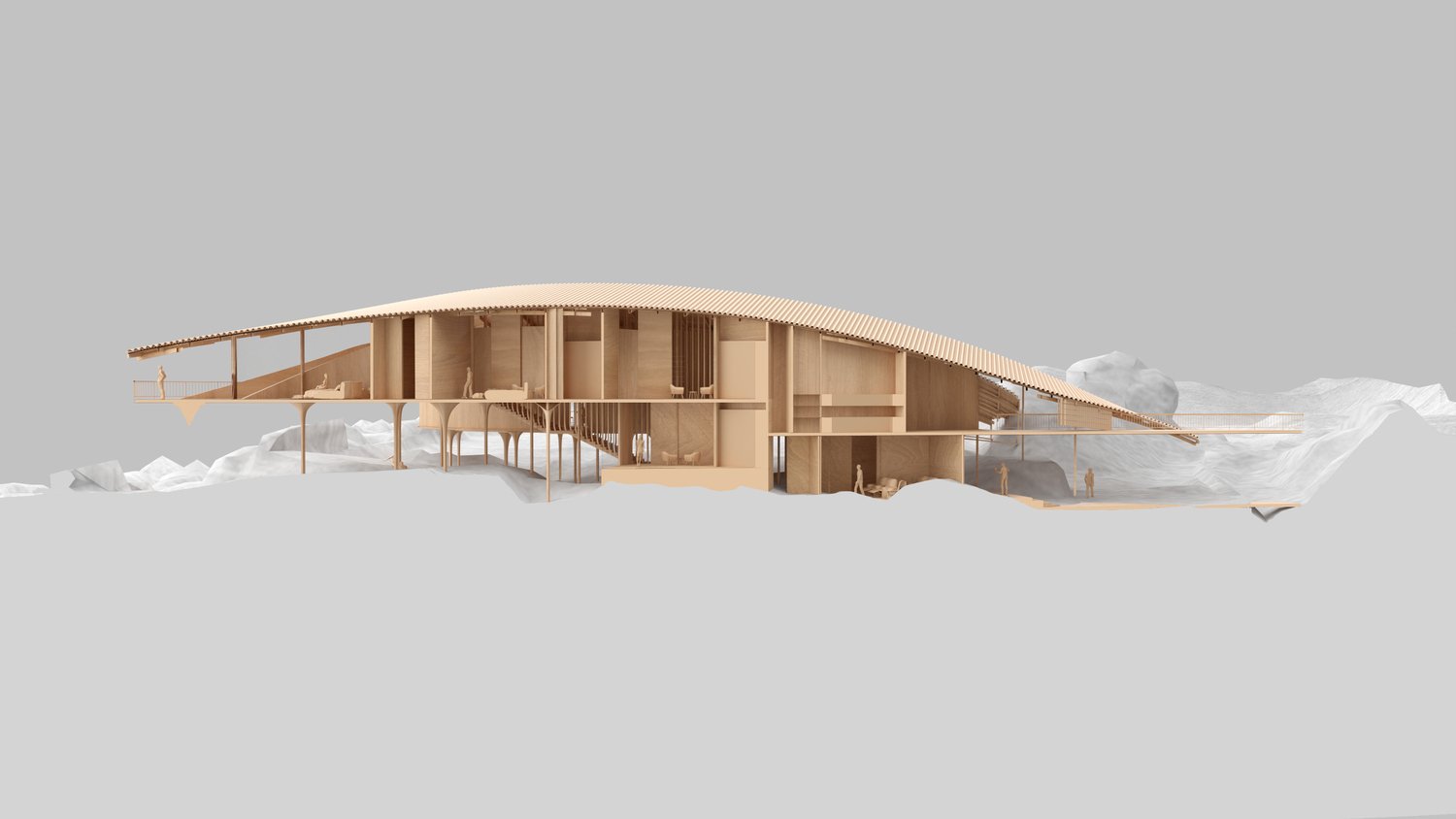 On the Rocks — Ant Studio