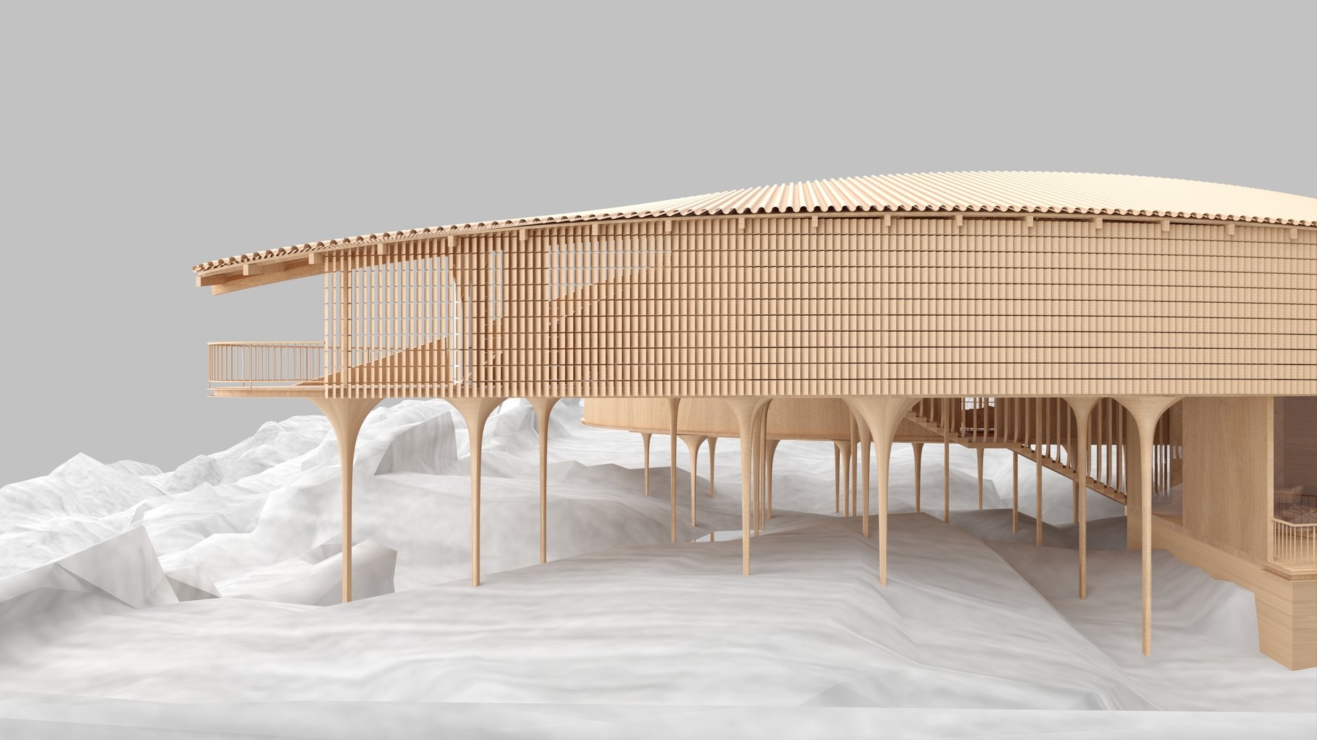 Projects — Ant Studio