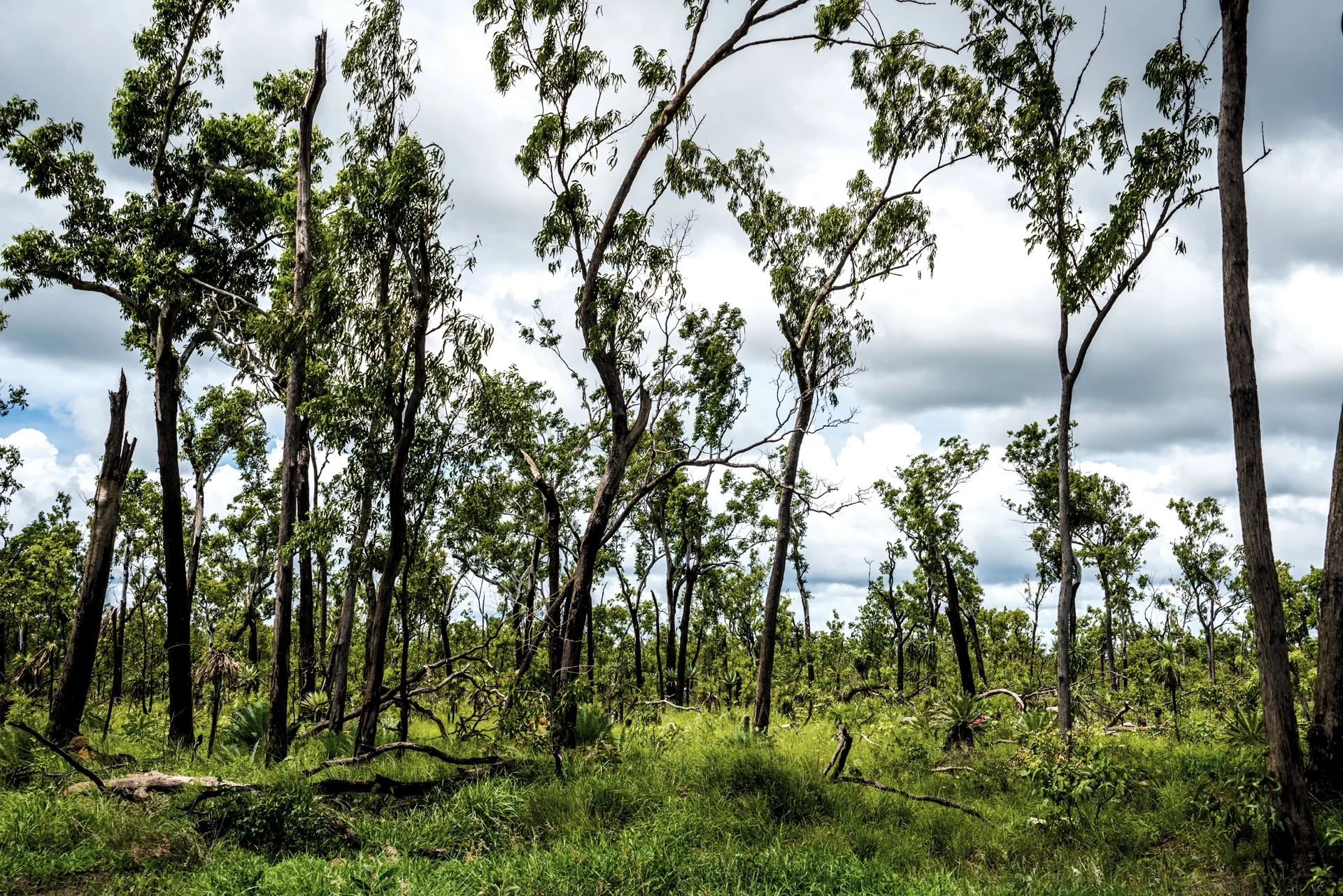 Ramingining — East Arnhem Regional Council