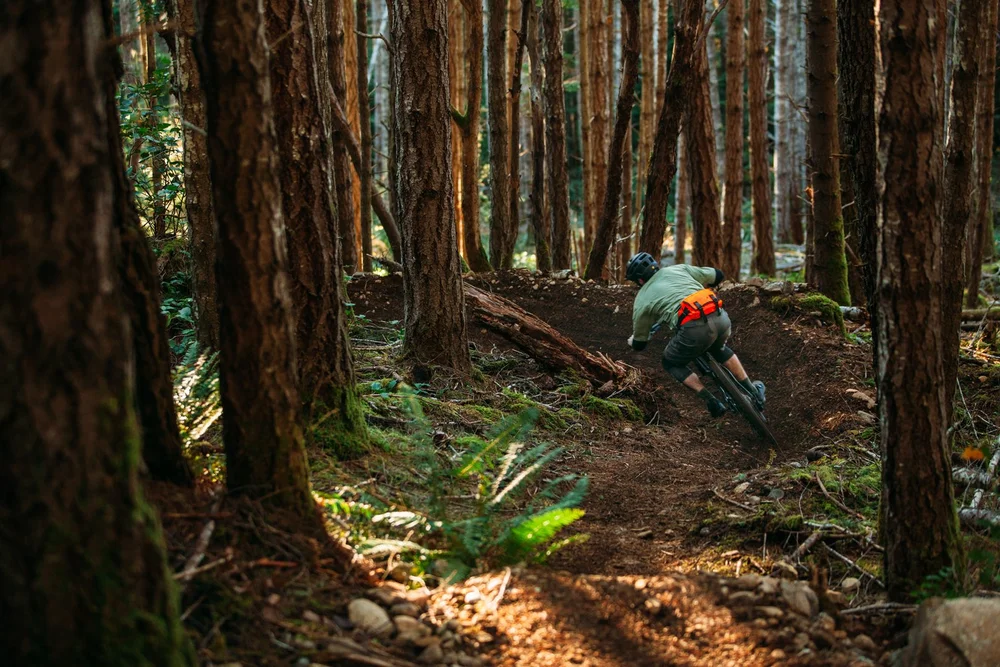 Custom Bikes Made in Canada