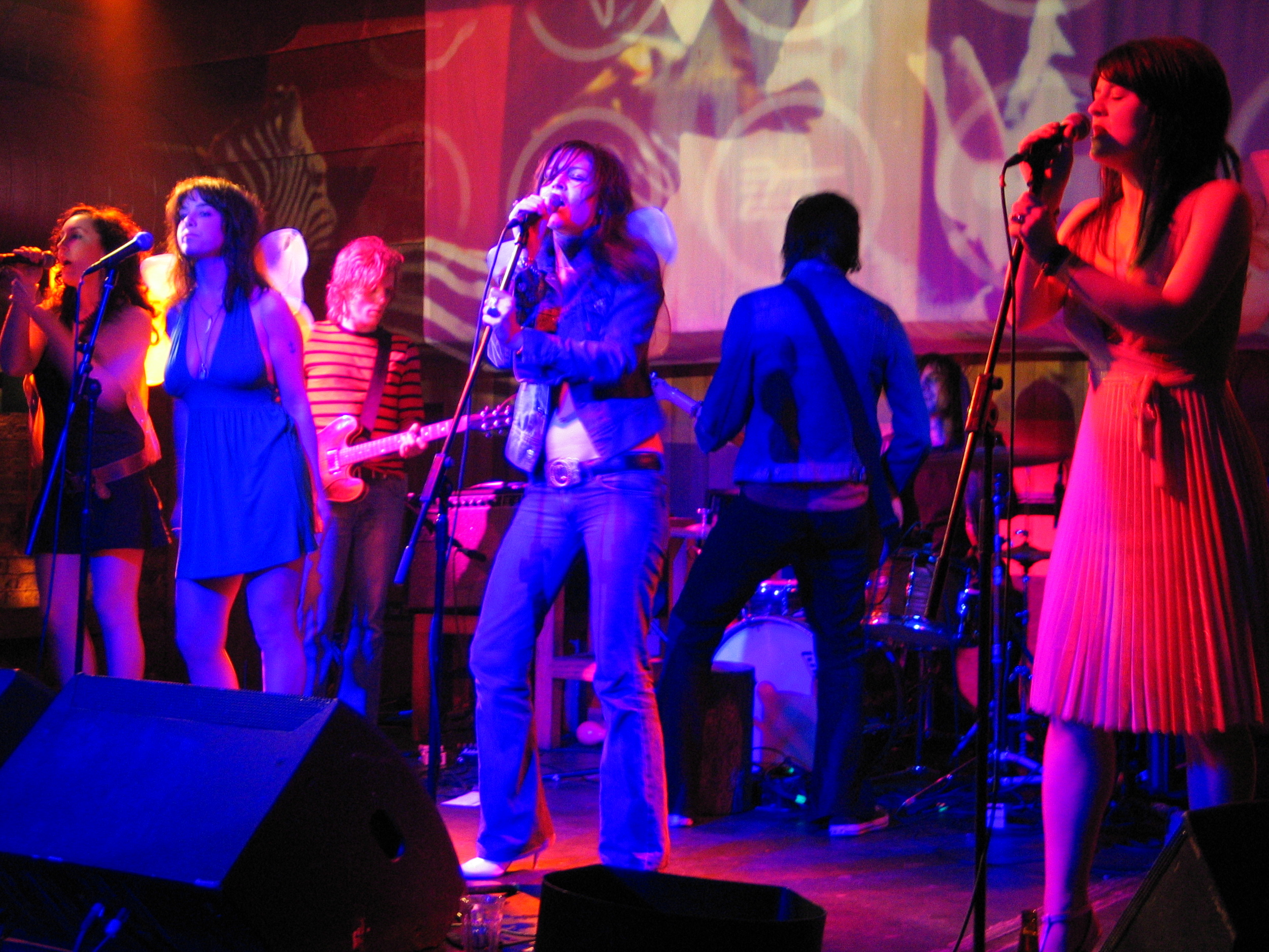 The Fairies Band 2000 - 2007 — TINSEL EDWARDS