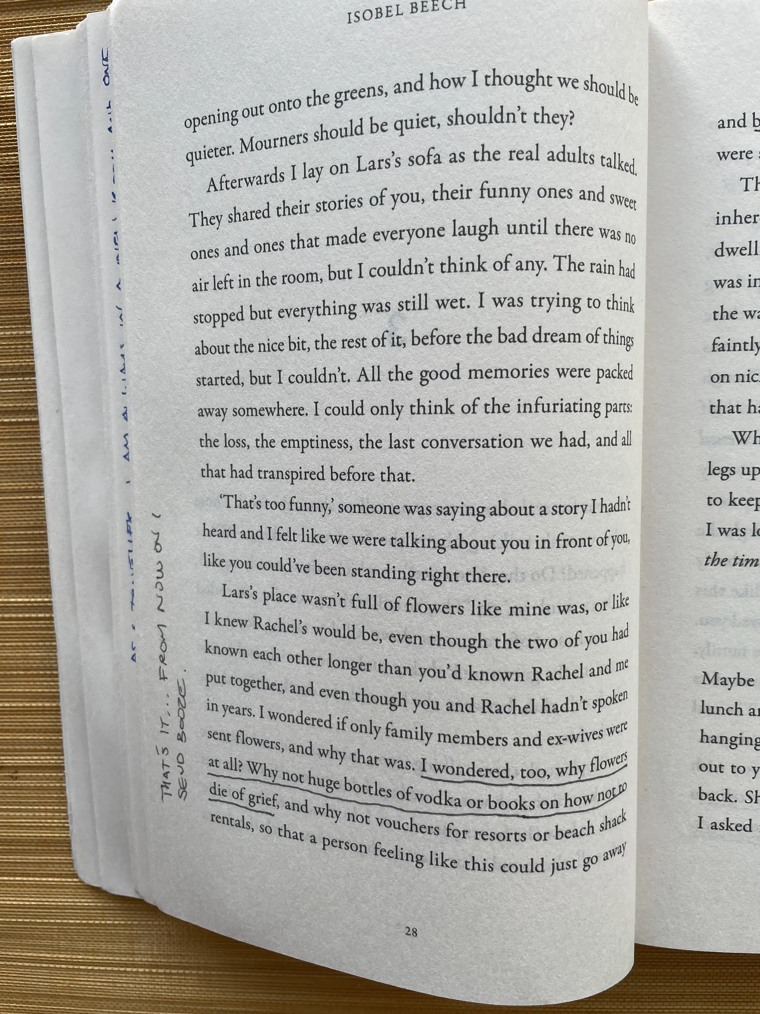 Lada Dedic Work in Progress Blog — Studiolada