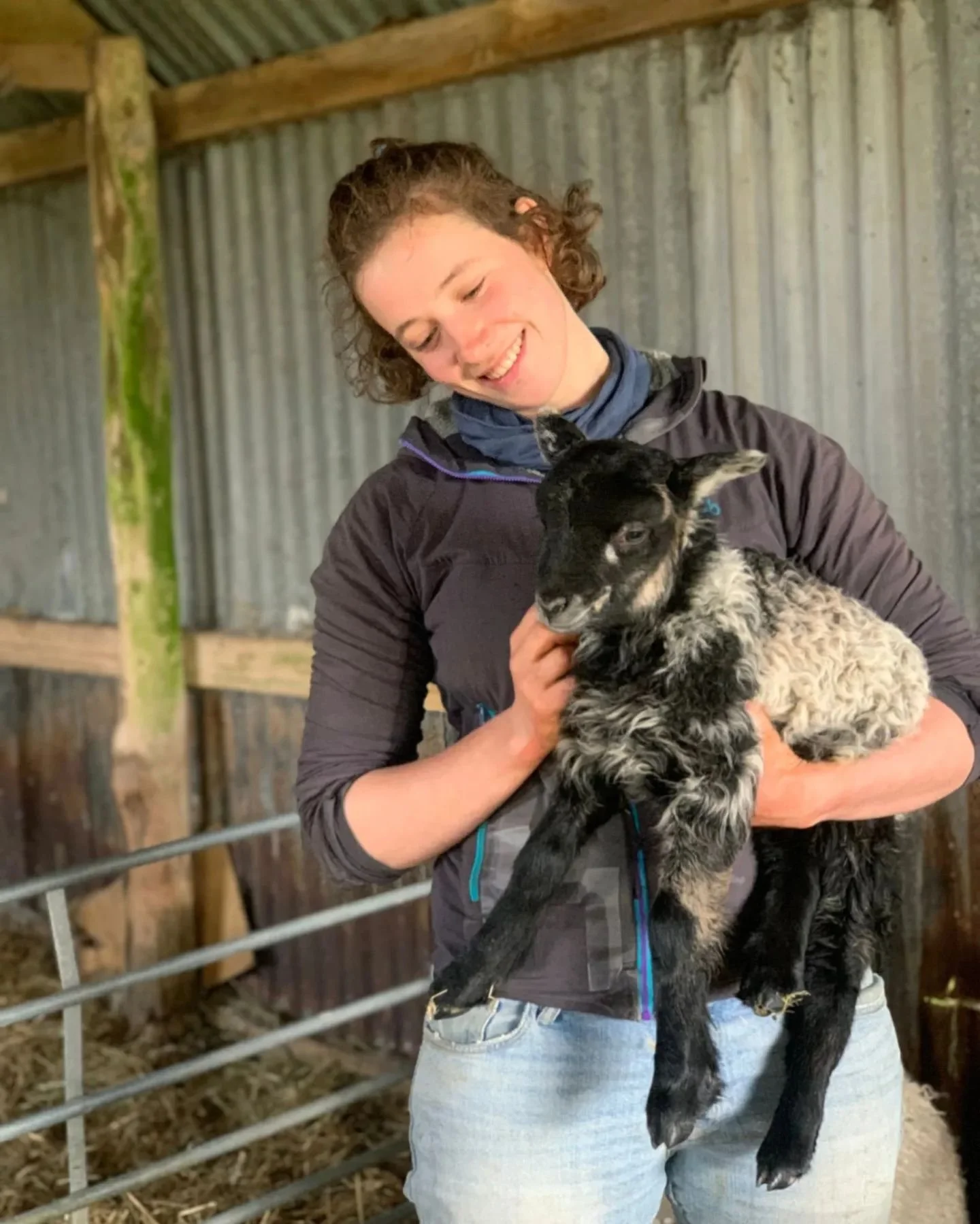 Coop History & Structure — Tablehurst and Plaw Hatch Community Farm Coop