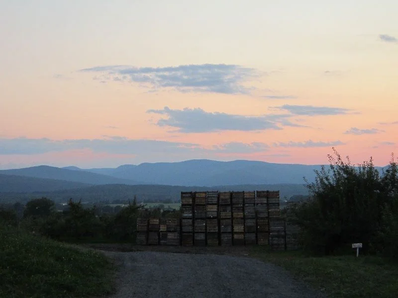Champlain Orchards