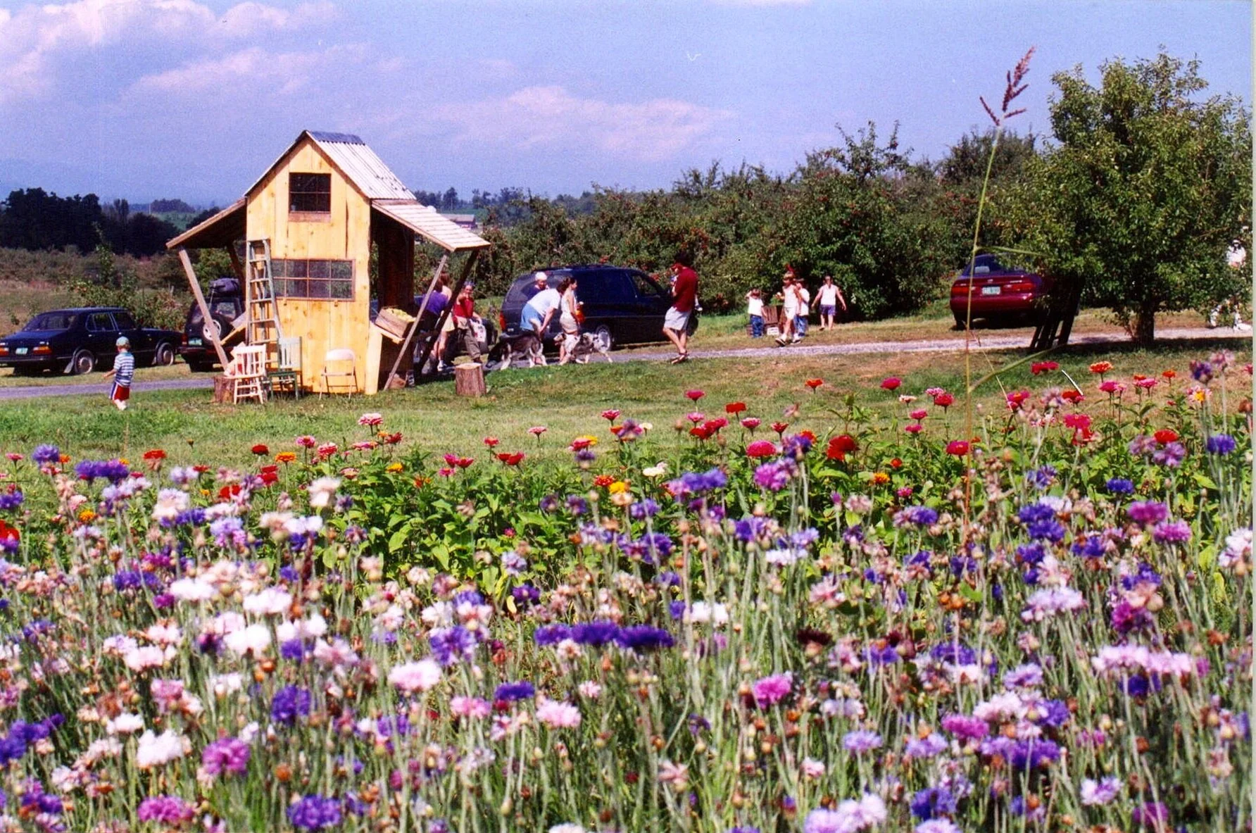 Champlain Orchards