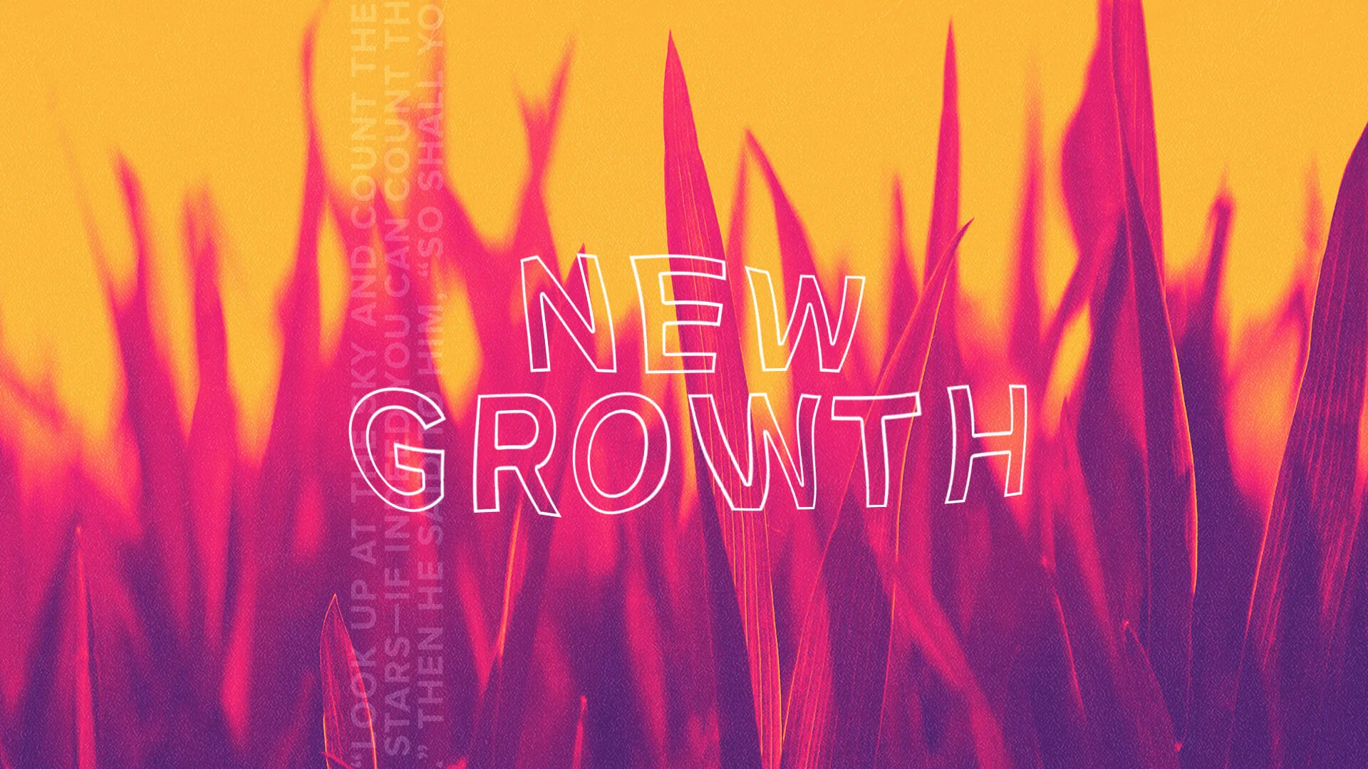 New Growth King s Church Windsor Slough Maidenhead New Growth King s Church Windsor Slough Maidenhead