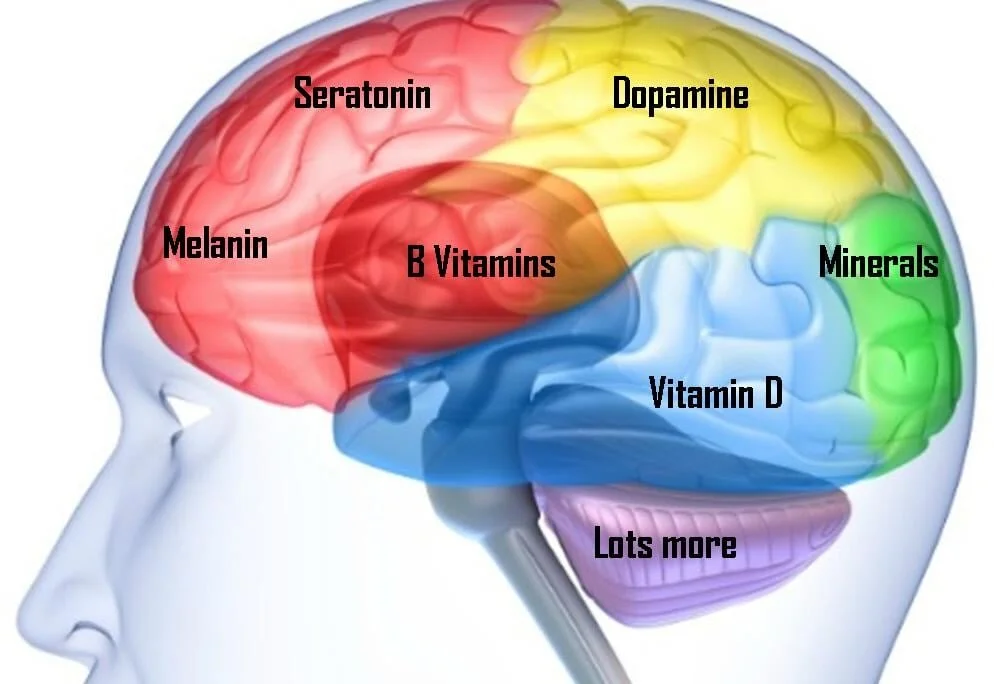 CMB Health Specialties Brain Health CMB Health Specialties Brain Health