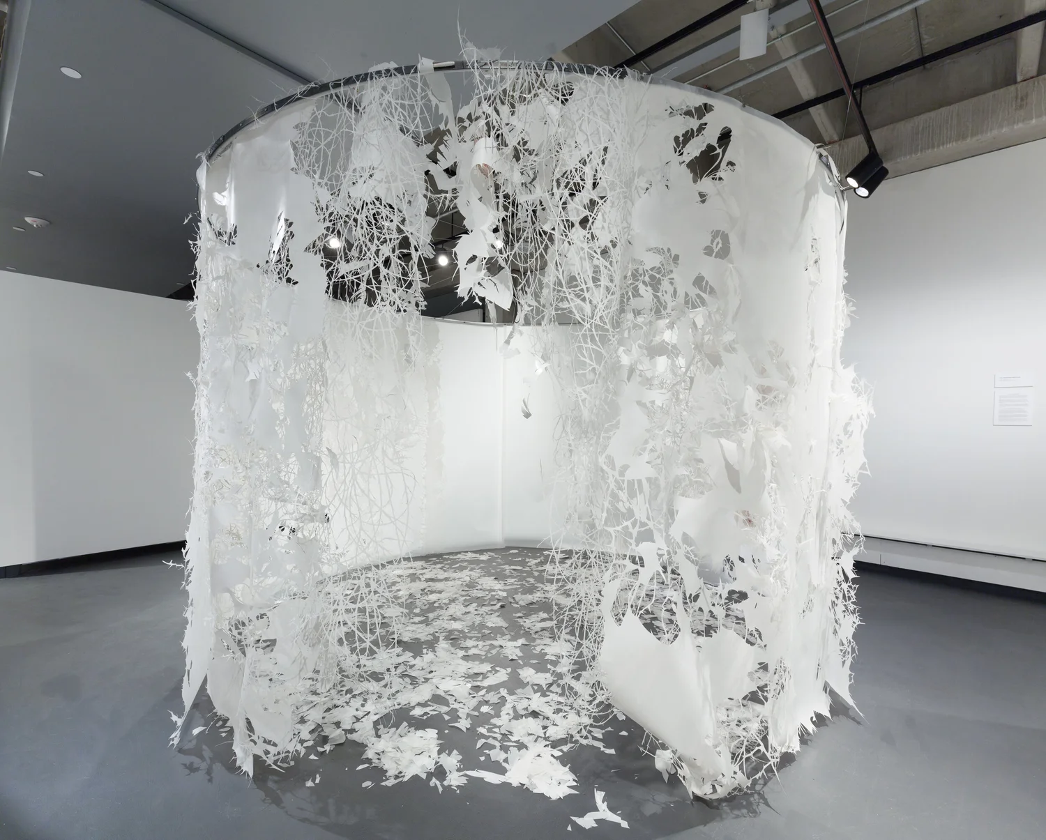Regan Rosburg — RedLine Contemporary Art Center | Denver, Colorado