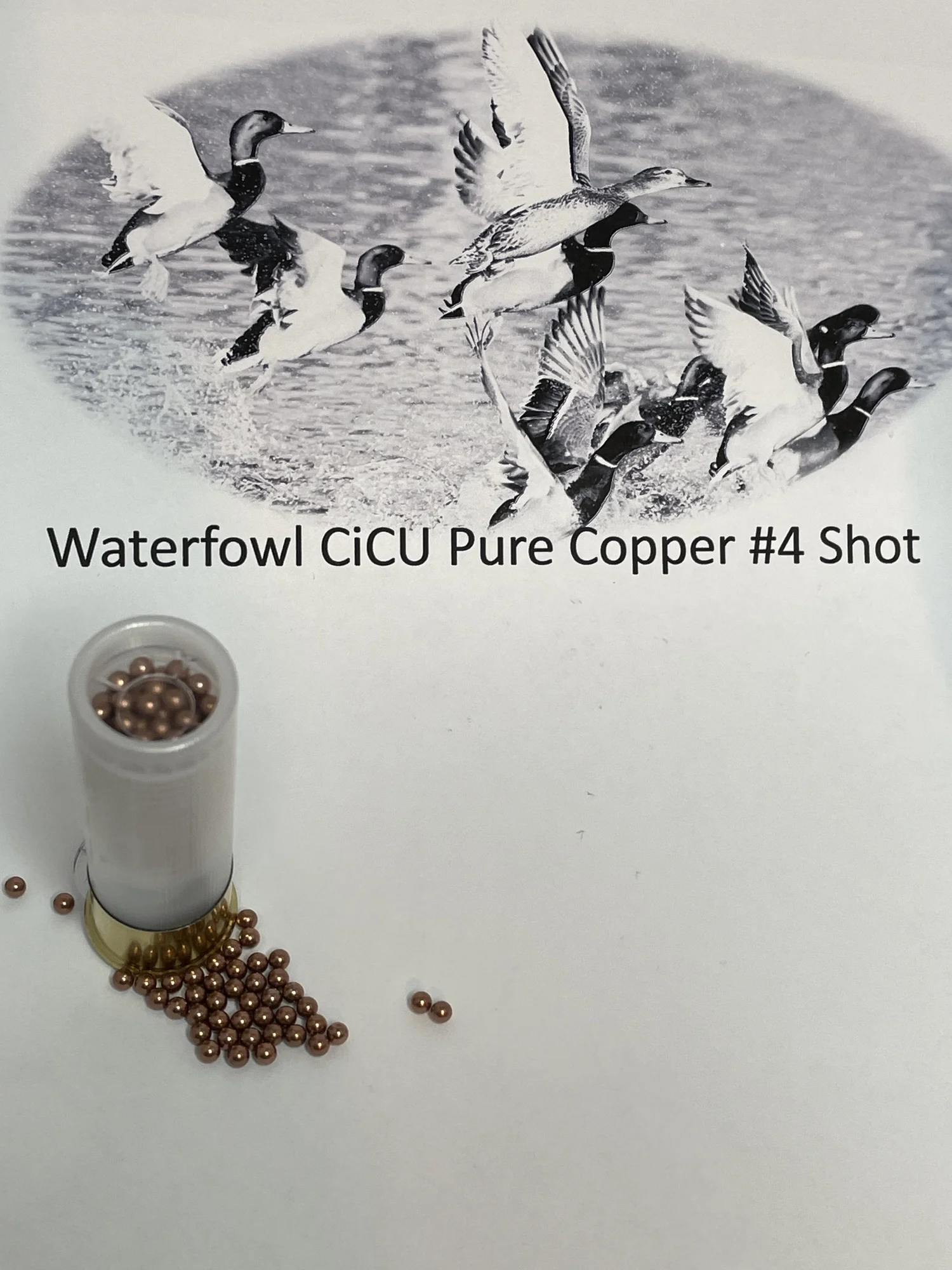 SLAPSHOT PROFESSIONAL AMMUNITIONHOME