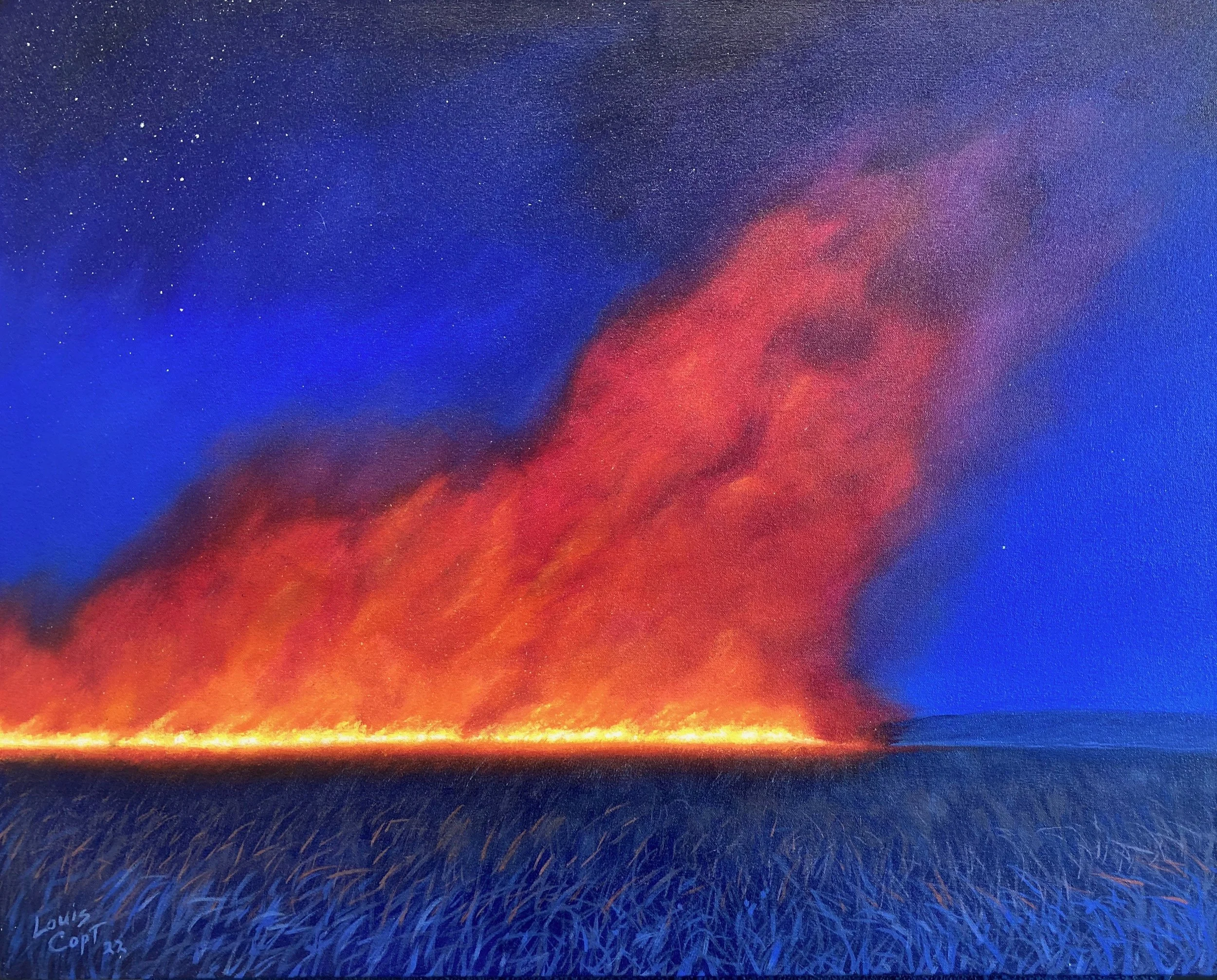 New Paintings at Leopold Gallery, Kansas City — Louis Copt Fine Art