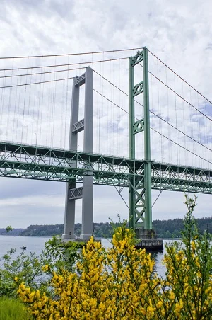 HOA COMMUNITY SOLUTIONS