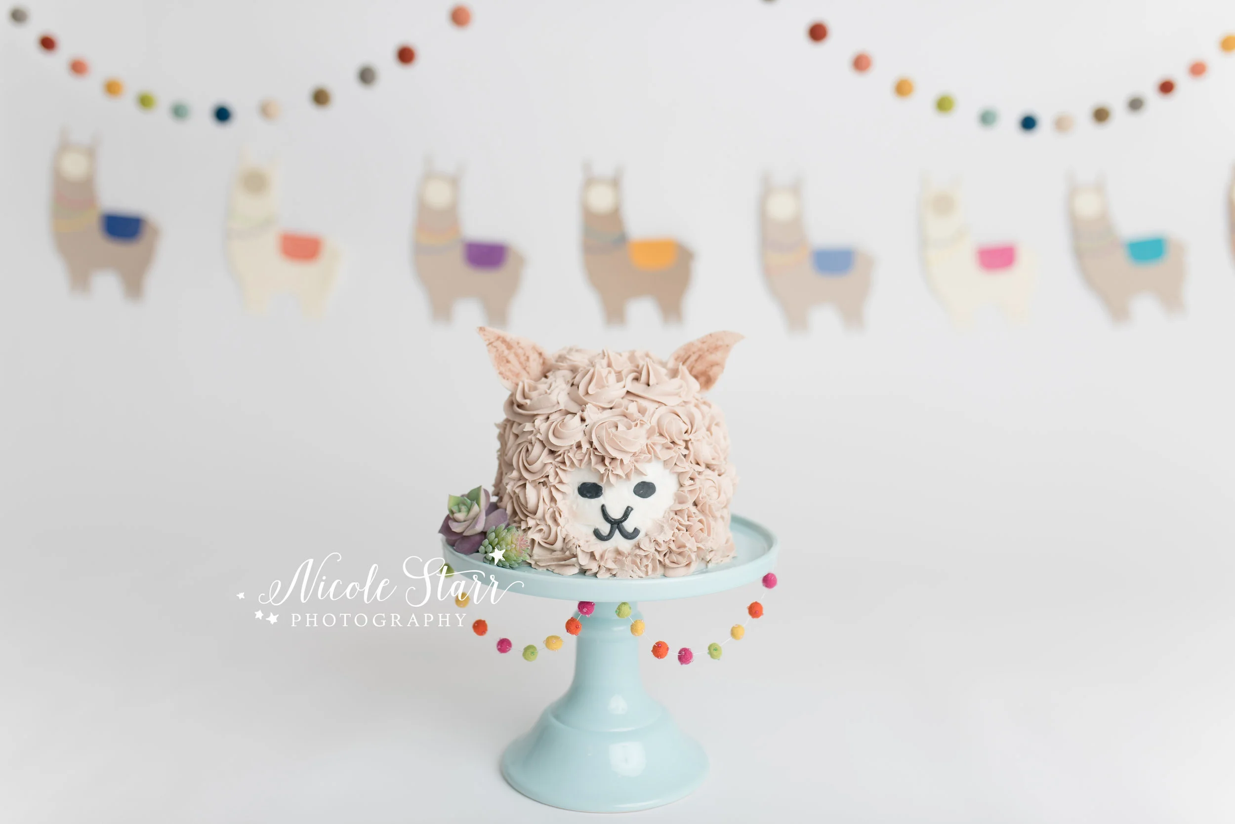 Baby Starr | A Llama Cake Smash for Grayson - Nicole Starr Photography