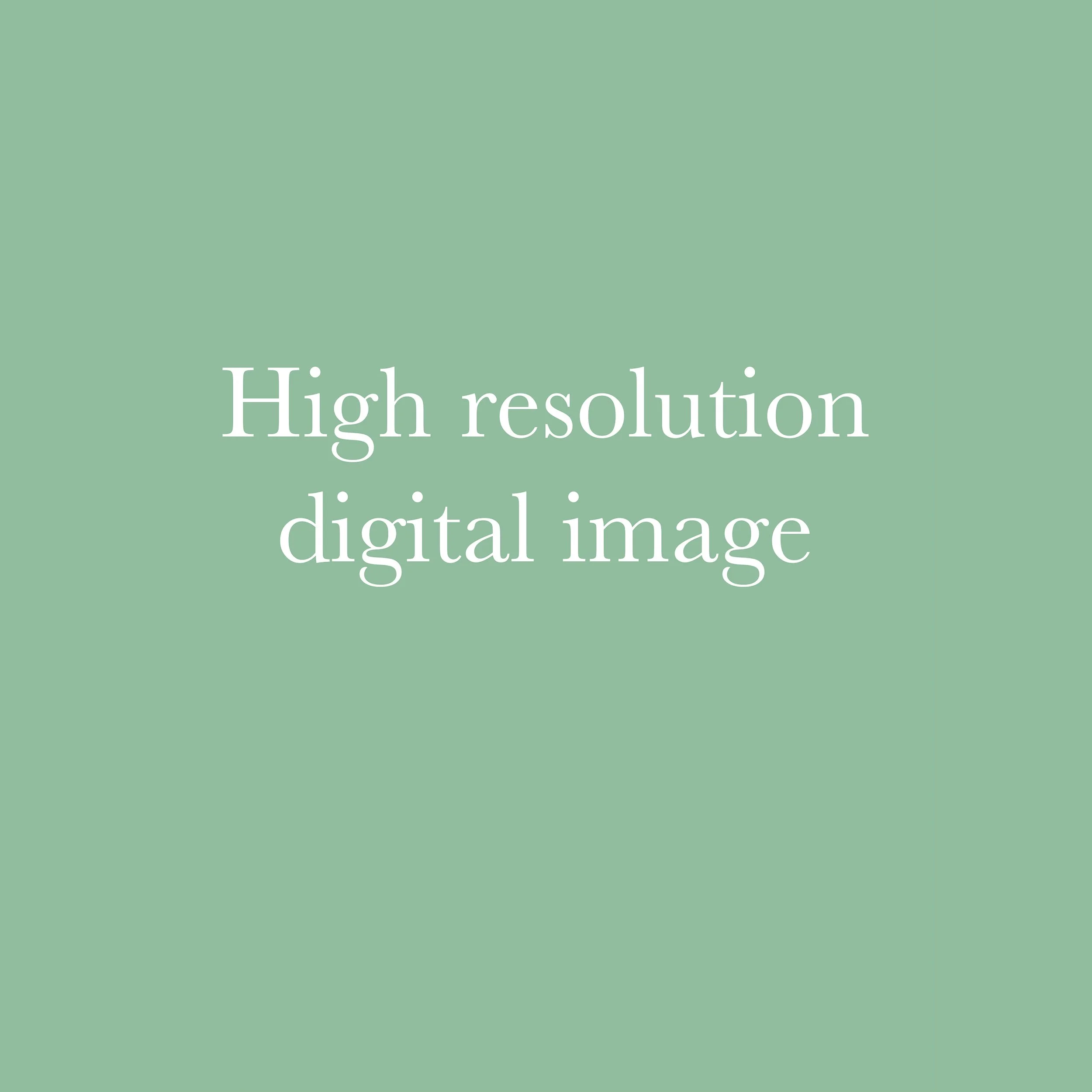 High resolution digital image — Saratoga Springs Baby Photographer ...