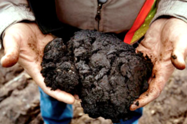 Bitumen — Fossil Fuel Connections